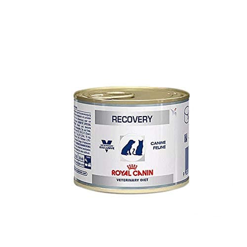 Recovery Royal Canin Veterinary Ração Lata Cães e Gatos 195 g